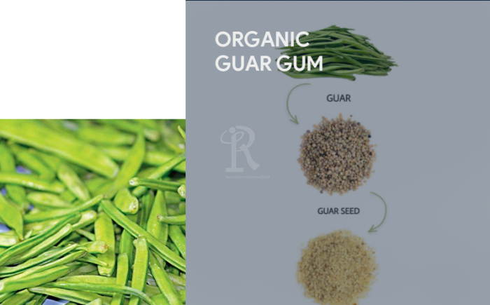 Ramagum | Manufacturers and Exporters of Guar Gum Powder, Guar Gum ...